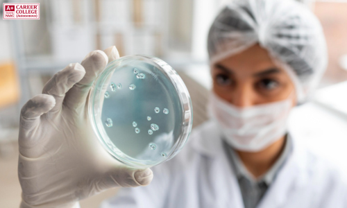 Top BSc Microbiology Course in Bhopal – Career College Bhopal